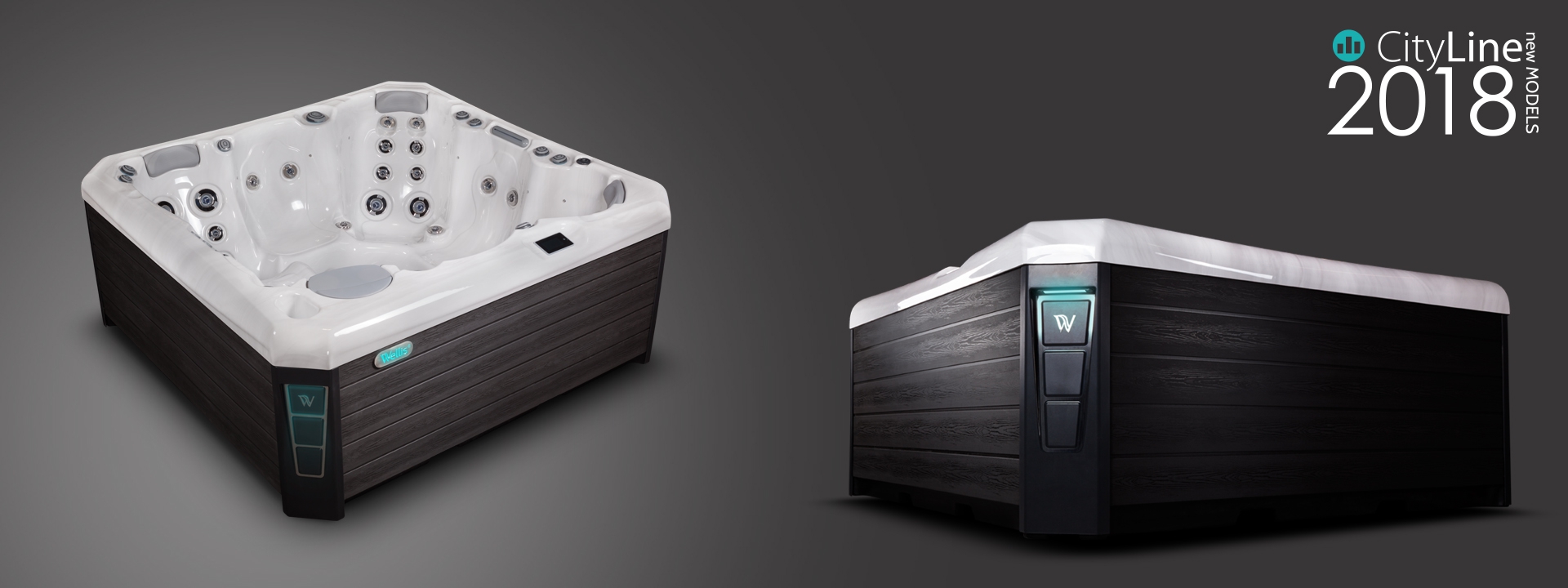 Malaga 2018 : Spa de massage 6 places de Wellis | Leisure Pools